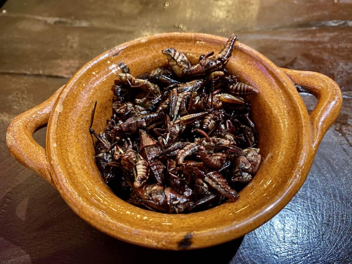 Ultimate Guide to Traditional Mexican Tacos