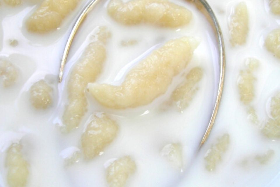 Zupa Mleczna: Milk Soup with Drop Noodles