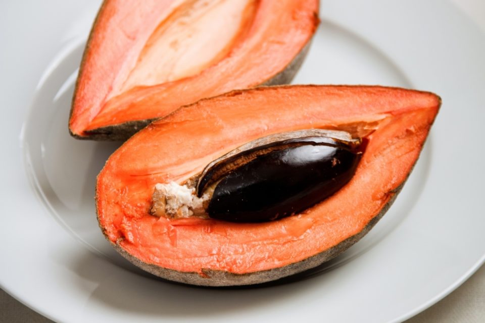 Mexican Fruits You Should Try in Mexico